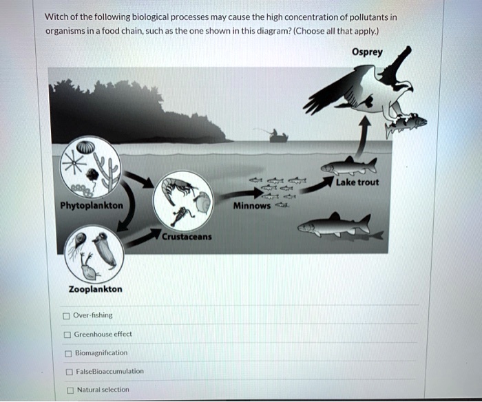 SOLVED: Which of the following biological processes may cause the high ...