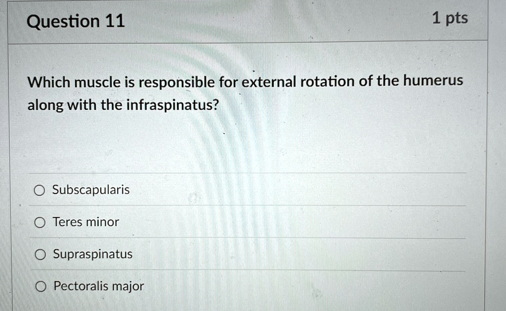 [GET ANSWER] question 11 1 pts which muscle is responsible for external ...