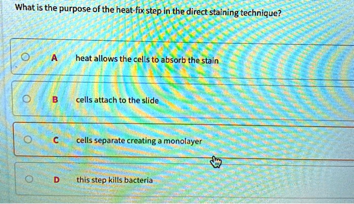 whatis the purpose of the heat fix step in the direct staining ...