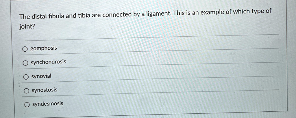 The distal fibula and tibia are connected by a ligament this...