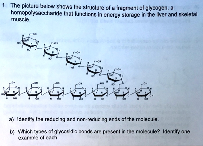 1. The picture below shows the structure of a fragment of glycogen, a ...