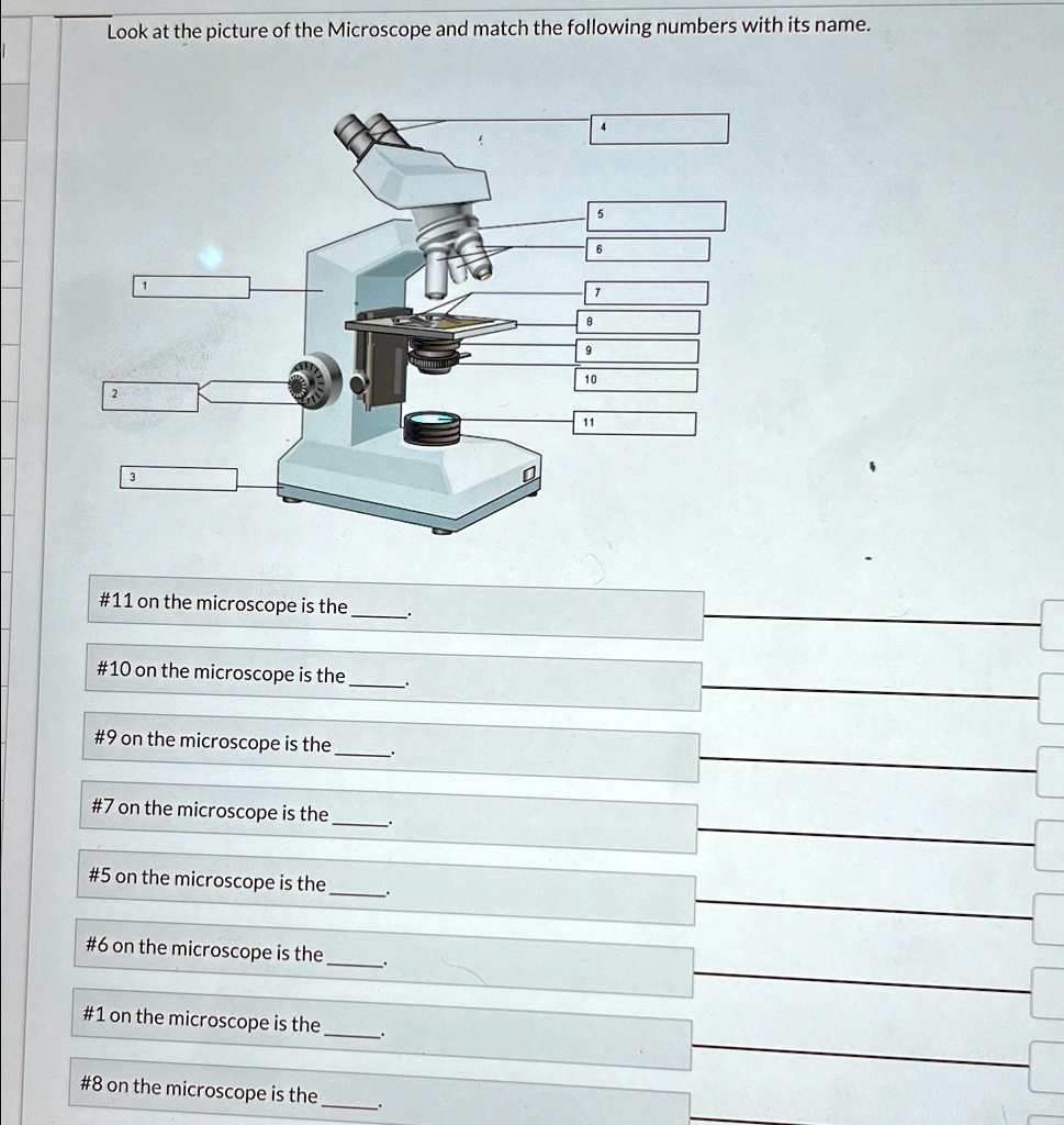 Look at the picture of the Microscope and match the following numbers ...