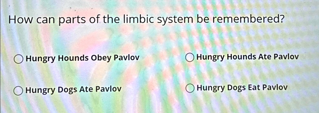 SOLVED: How can parts of the limbic system be remembered? Hungry Hounds ...