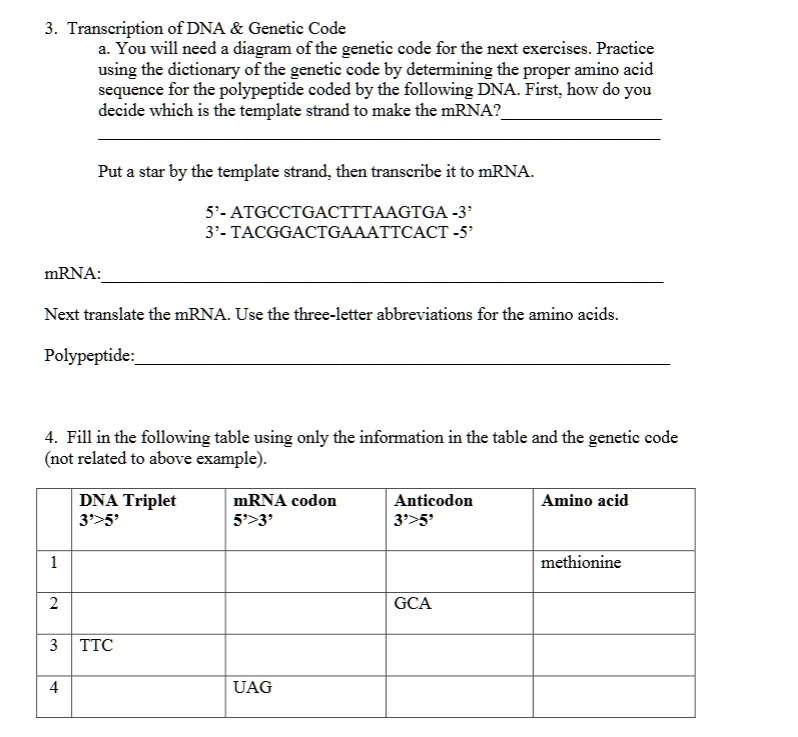 SOLVED: Text: Transcription of DNA Genetic Code a. You will need a ...