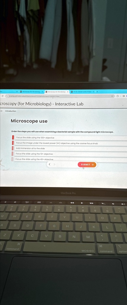 Microscopy (for Microbiology) - Interactive Lab Introduction Microscope ...