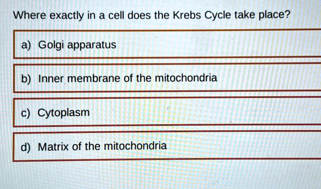 Where exactly in a cell does the Krebs Cycle take place? a) Golgi ...