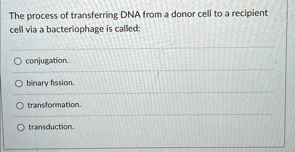 the process of transferring dna from a donor cell to a recipient cell ...