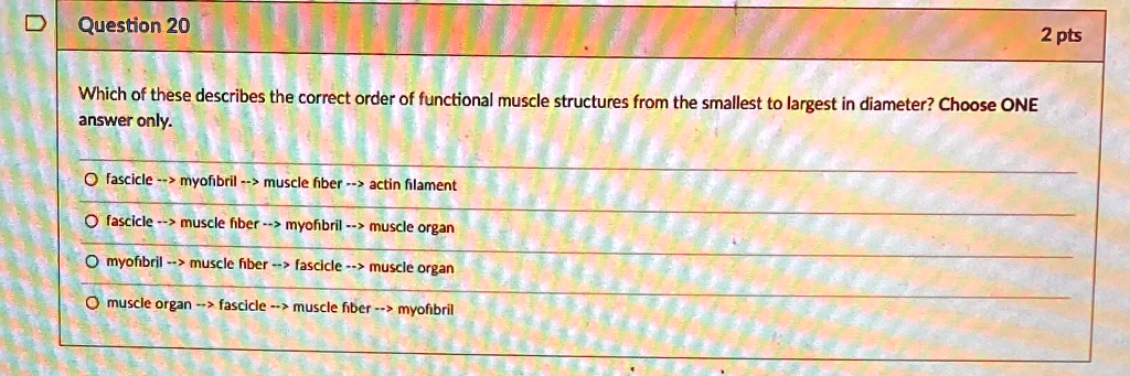 SOLVED: Question 20 2 pts Which of these describes the correct order of functional muscle ...
