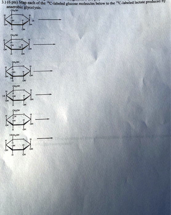 3.) (6 pts) Map each of the ^14C-labeled glucose molecules below to the ^14C-labeled lactate ...