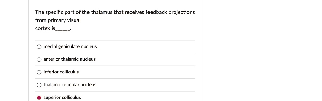 SOLVED: The specific part of the thalamus that receives feedback ...