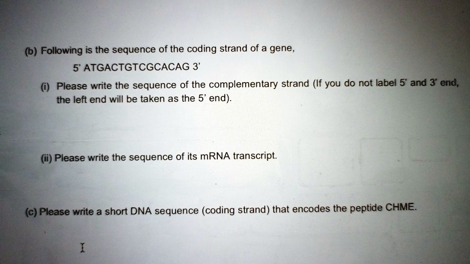 (b) Following is the sequence of the coding strand of a gene, 5 ...