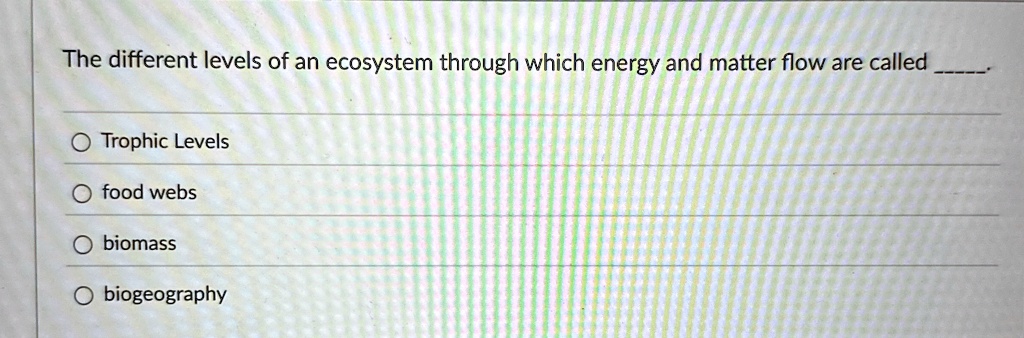 the different levels of an ecosystem through which energy and matter ...