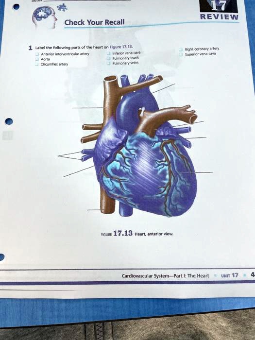 SOLVED: REVIEW Check Your Recall Label the following parts of the heart ...