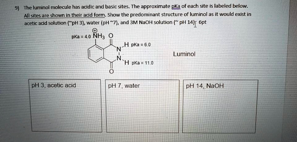 the luminol molecule has acidic and basic sites the approximate pka of ...