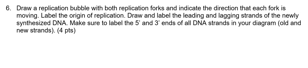 SOLVED: 6 Draw a replication bubble with both replication forks and indicate the direction that ...