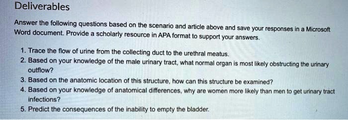 Deliverables Answer the following questions based on the scenario and ...