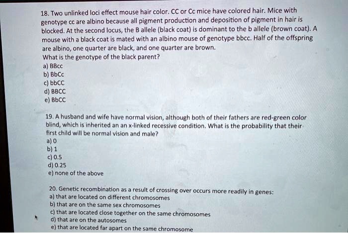 18. Two unlinked loci affect mouse hair color. CC or Cc mice have ...