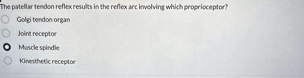 the patellar tendon reflex results in the reflex arc involving which ...