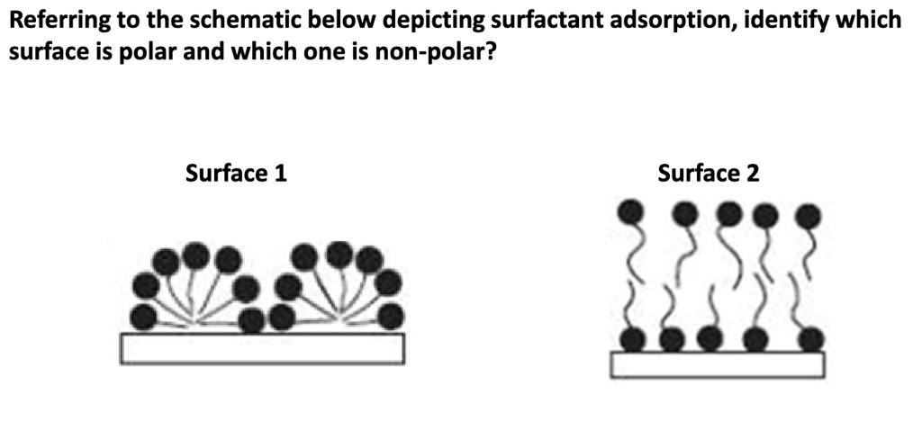 Referring to the schematic below depicting surfactant adsorption ...