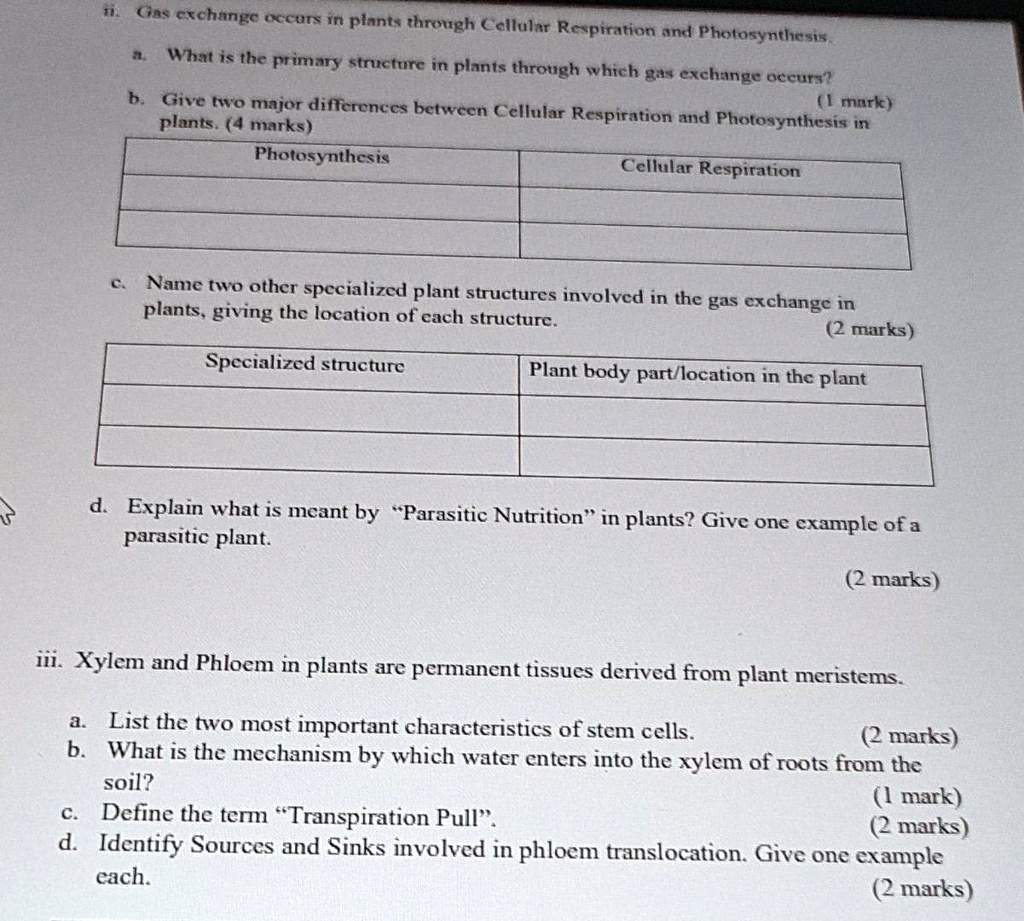 ii gas exchange occurs in plants through cellular respiration and ...