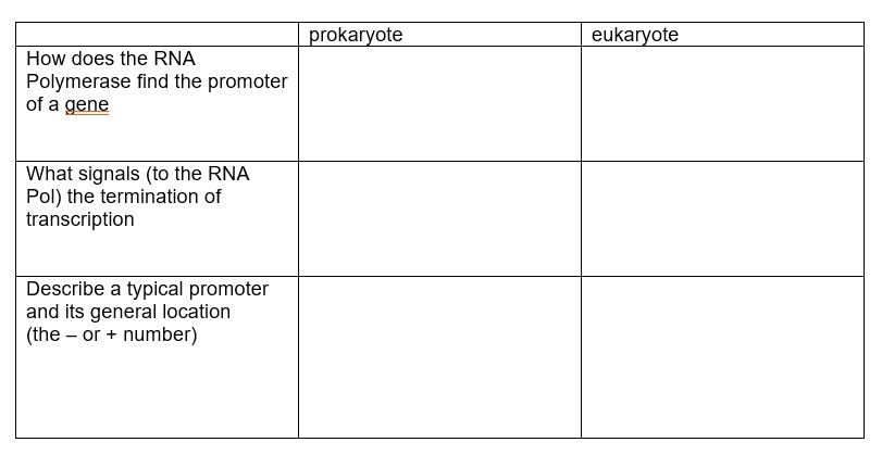 prokaryote eukaryote How does the RNA Polymerase find the promoter of a ...