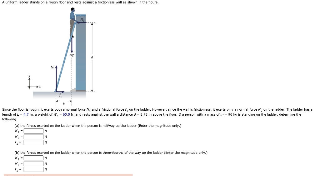 Uniform ladder stands on floor and rests against frictionless wall, as ...