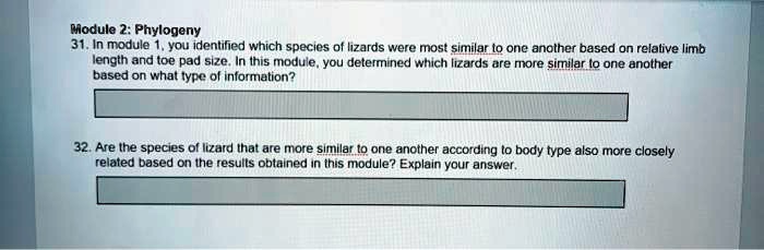 SOLVED: Module 2: Phylogeny 31. In module You identilied which species ...