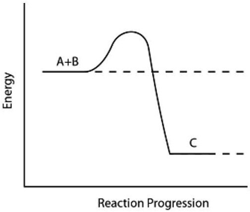 SOLVED:'Consider the reaction pathway below. Which is true about the ...