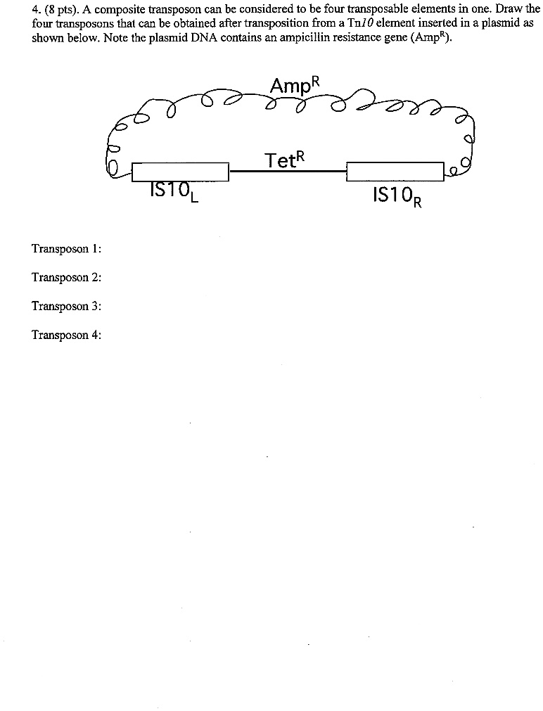 8 pts a composite transposon can be considered to be four transposable ...