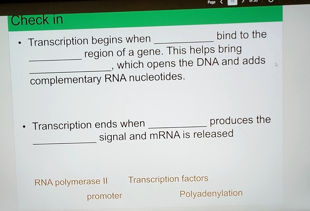 SOLVED: Page Check in bind to the Transcription begins when region of a gene. This helps bring ...