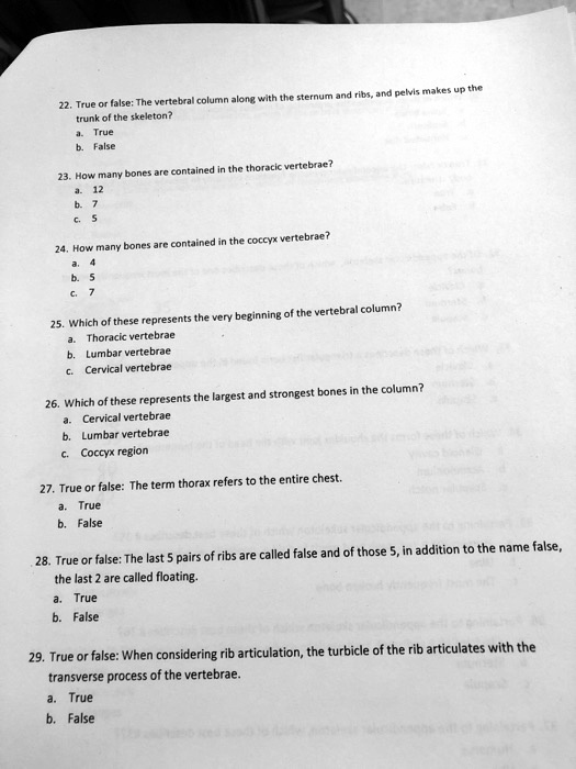 SOLVED: 22. True or false: The vertebral column, along with the sternum ...