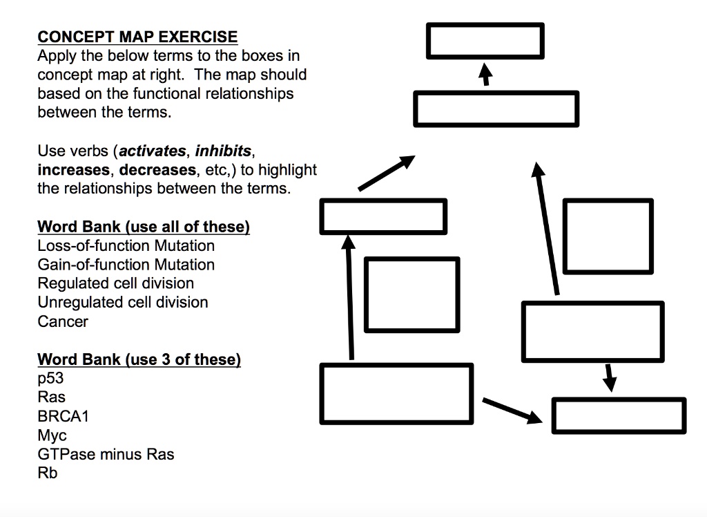 SOLVED: CONCEPT MAP EXERCISE Apply the below terms to the boxes in ...