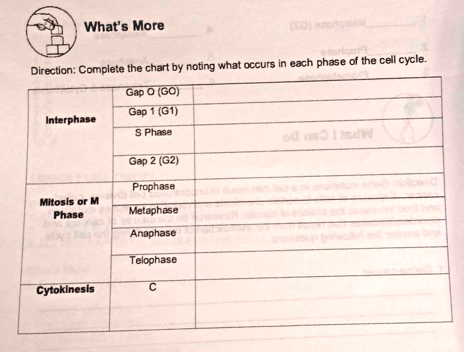 What's More Direction: Complete the chart by noting what occurs in each ...