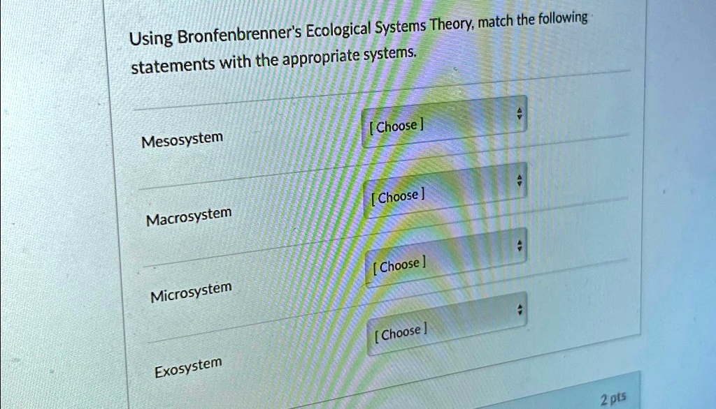 Using Bronfenbrenner's Ecological Systems Theory, match the following ...