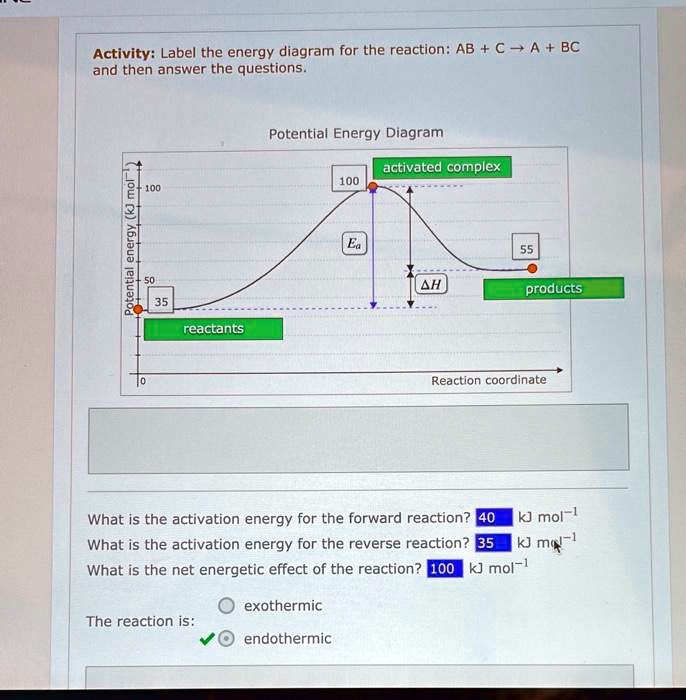 SOLVED: Activity: Label the energy diagram for the reaction: AB + € A + BC and then answer the ...