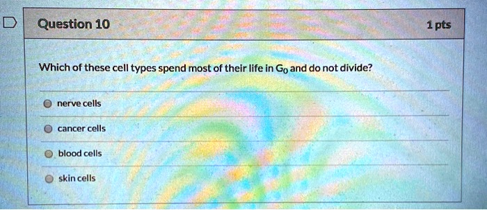 Solved Question 10 1pts Which Of Thesc Cell Types Spend Most Of Their Life In Go And Do Not