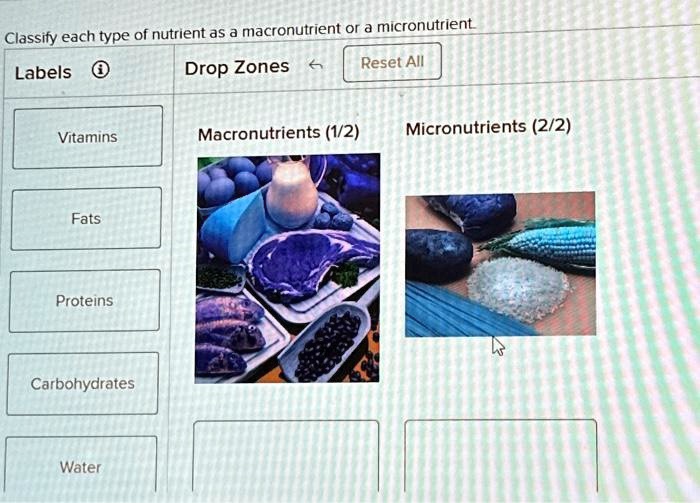 SOLVED: Classify each type of nutrient as a macronutrient or a ...