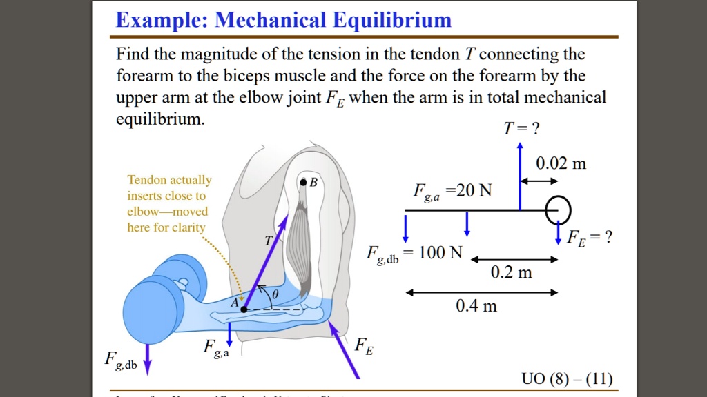 SOLVED: Example: Mechanical Equilibrium Find the magnitude of the ...