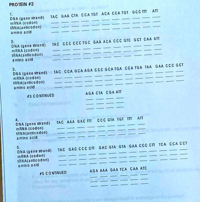 SOLVED: PROTEIN #2 AcA ccA TGT Gcc Mit Tac GAA CTA CcA TGT DNA (gene ...