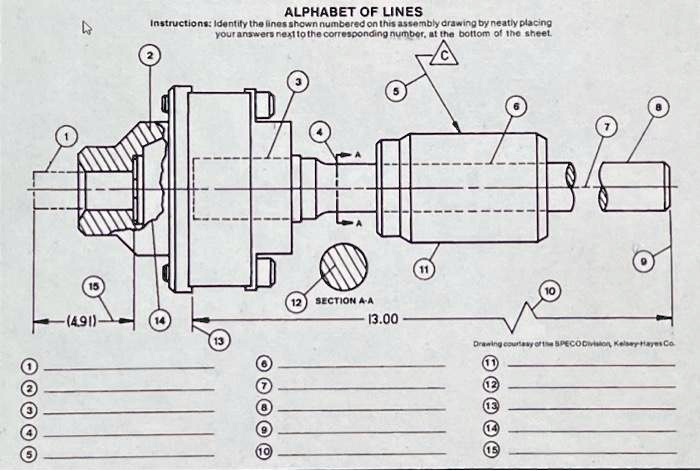 ALPHABET OF LINES Instructions: Identify the lines shown numbered on ...