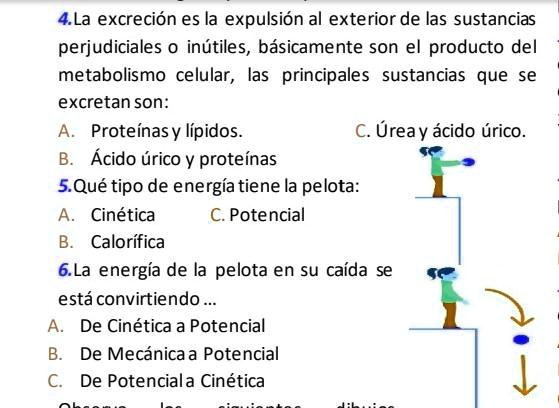 SOLVED: porfa ayudenme lo necesito 4.La excreción es la expulsión al ... SOLVED: porfa ayudenme lo necesito 4.La excreción es la expulsión al ...