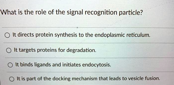 SOLVED: What is the role of the signal recognition particle? It directs protein synthesis to the ...