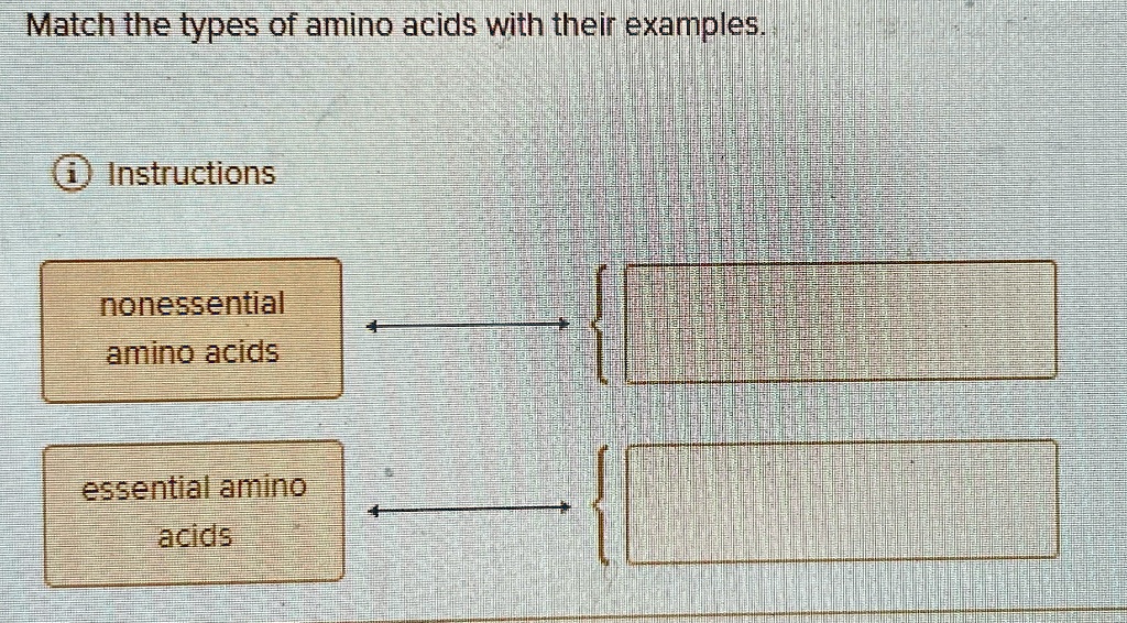match the types of amino acids with their examples i instructions ...