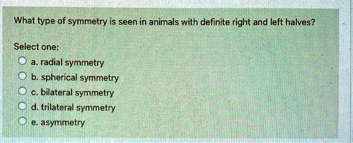 what type of symmetry is seen in animals with definite right and left ...