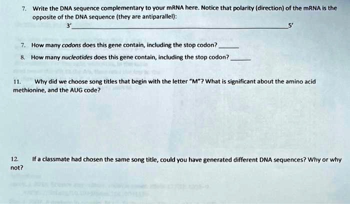 7. Write the DNA sequence complementary to your mRNA here. Notice that ...