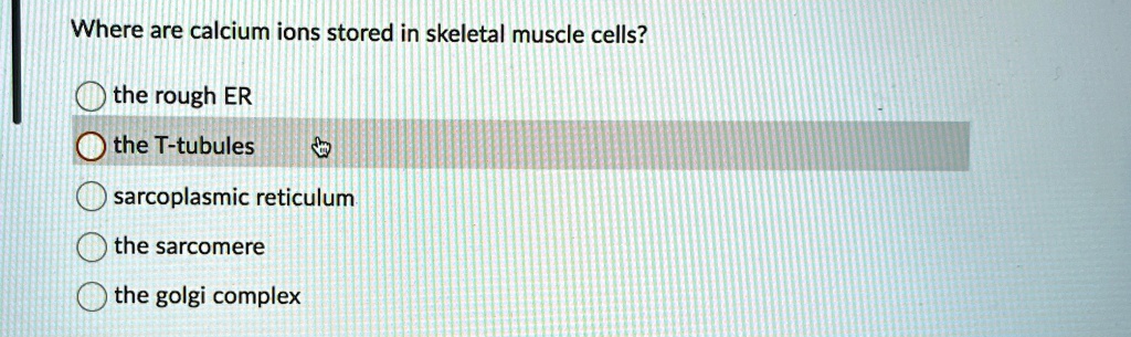where are calcium ions stored in skeletal muscle cells the rough er the ...