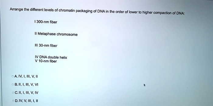 SOLVED: Arrange the different levels of chromatin packaging of DNA in ...