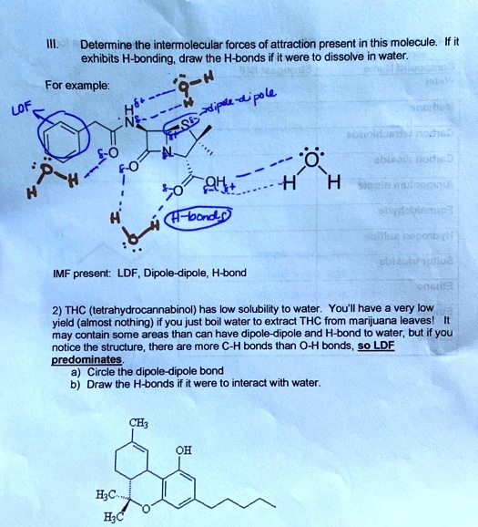 SOLVED:Determine the intermolecular forces of attraction present in ...