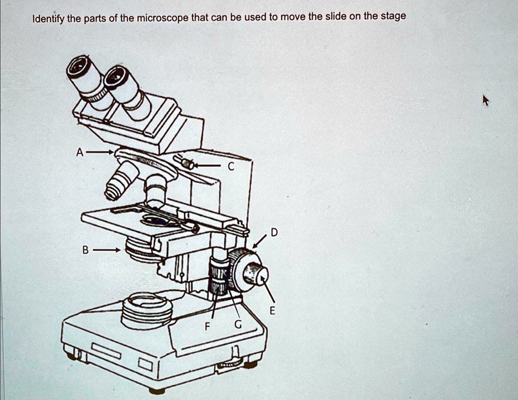 identify the parts of the microscope that can be used to move the slide ...