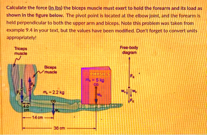 Calculate the force (in lbs) the biceps muscle must exert to hold the ...